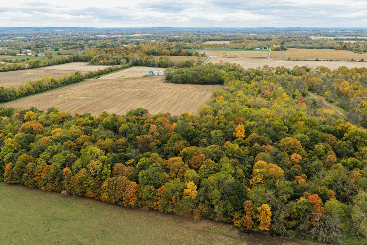 Arva | Regenerative Agriculture Solutions